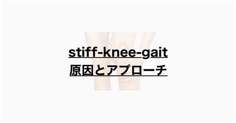 Stiff Knee Gaitの基礎とアプローチの紹介 Clinical Labo