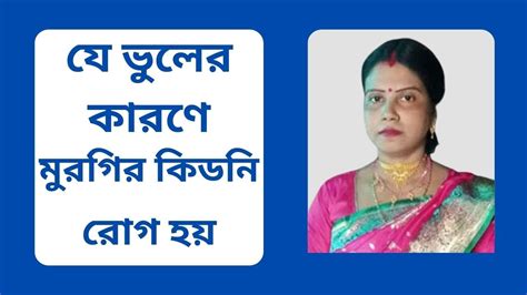 যে ভুলের কারণে মুরগির কিডনি রোগ হয় ।। Youtube