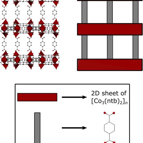 Schematic Representation Of The Anionic Network Of Jump 1 Download