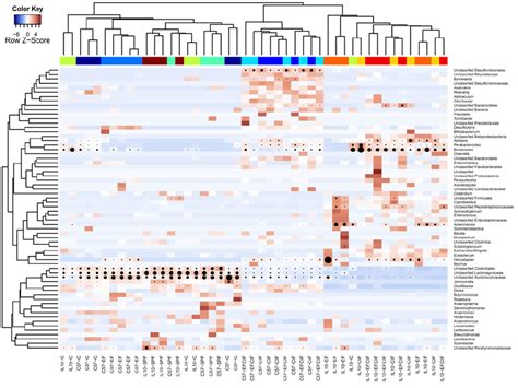 Heatmap Showing Hierarchical Clustering Of Bacterial Composition Download Scientific Diagram