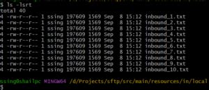 Spring Boot Meets SFTP A Comprehensive Implementation Guide Techsphere