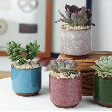 236 세라믹 다육 식물 화분 6개 세트 집과 사무실 장식에 완벽함 식물 미포함 Temu Republic Of Korea