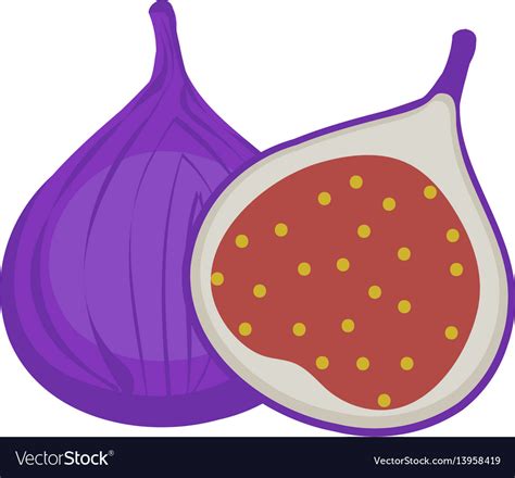 Fresh Figs Icon Flat Cartoon Styleisolated On Vector Image