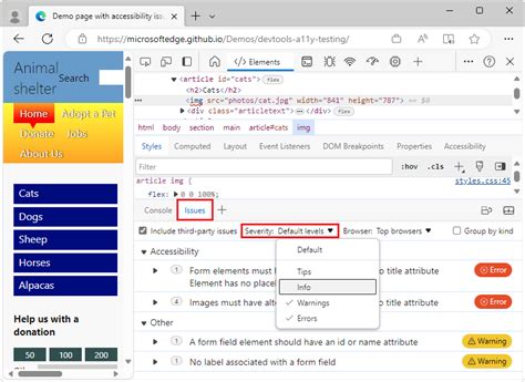 find and fix problems using the issues tool microsoft edge developer
