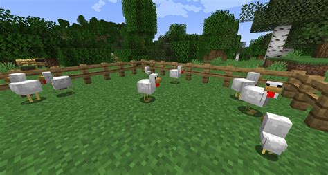 Build An Automatic Chicken Farm In Minecraft Unlimited Eggs Feathers And Chicken Meat