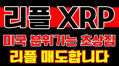 리플 미국내 암호화폐기업 줄초상리플 리플코인 리플전망 Xrp Youtube