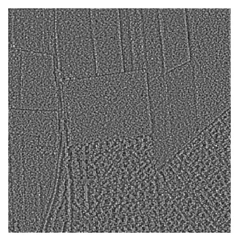 a noisy suburban image despeckled images using b wht c wmp d