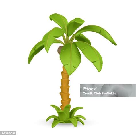 3d 귀여운 만화 열대 야자수입니다 밝은 배경에 현실적인 정글 나무 Summertime 개체입니다 벡터 그림 3차원 형태에 대한