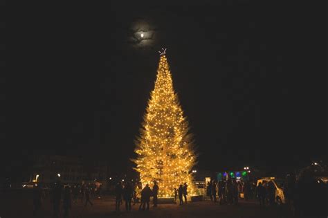 We Wish Everyone In The Geisel Community A Safe And Happy Holiday Break Our Offices And School