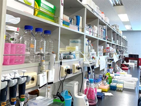 Lab Introduction ADEL