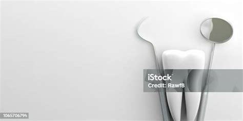 치과 도구 및 흰색 배경 복사 공간에 치아 모델 3 차원 일러스트 레이 션 치과 의사에 대한 스톡 사진 및 기타 이미지 치과 의사 이빨 3차원 형태 Istock