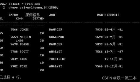 实训报告2 Oracle客户端软件的使用 Csdn博客