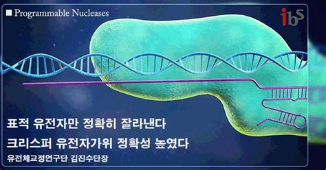Dna를 자르고 붙이는 크리스퍼 유전자 가위국내 공론화