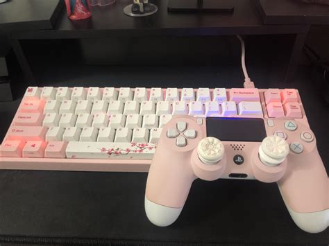 I Got My PS Controller To Match My Keyboard C R Playstation