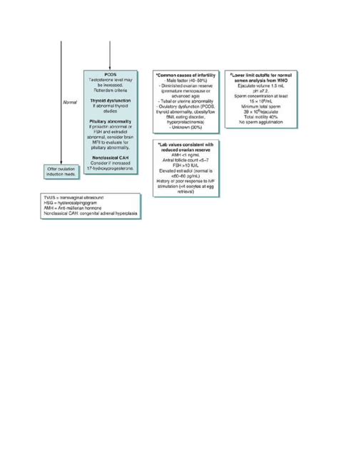 Infertility Algorithm Pdf