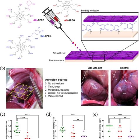 A Schematic Diagram Showing The Fabrication Process Of Injectable