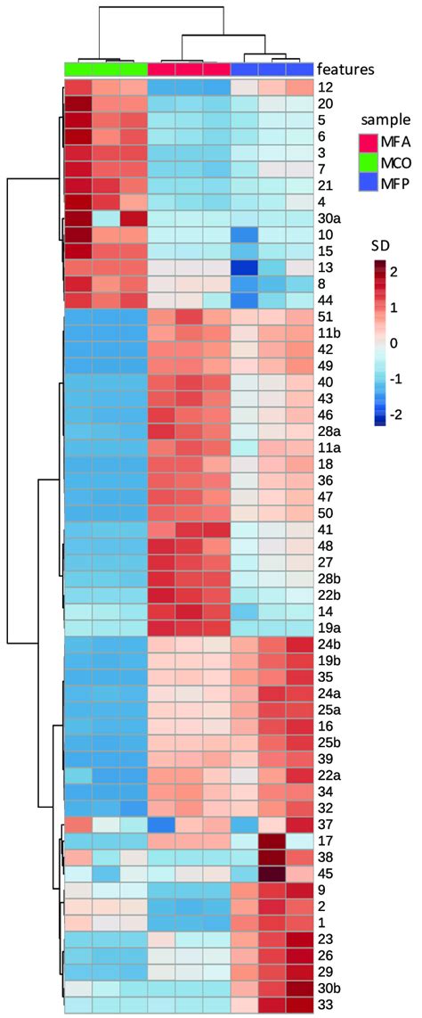 Clustergram Derived From The Area Ratio Of The Phytochemicals Estimated Download Scientific