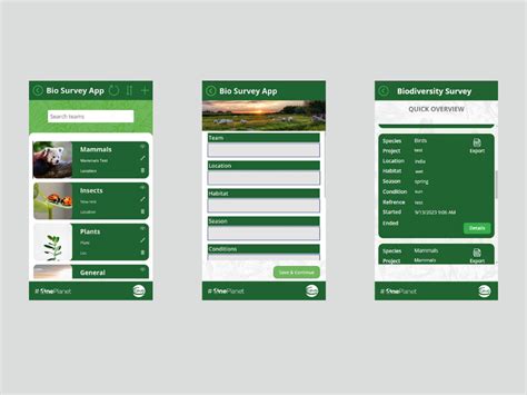 A Custom Powerapps And Power Automate Solution Upwork