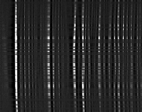 Spatial Temporal Distribution Of Reflected Thz Pulses From Sample Each Download Scientific