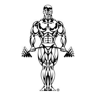 Golds Gym Logo Png Vectors Free Download