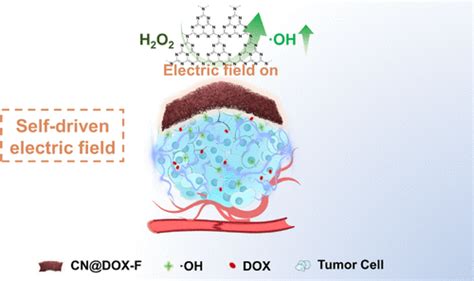 Self Driven Electrical Stimulation Promoted Cancer Catalytic Therapy And Chemotherapy Based On