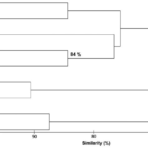 Simplified Dendrogram Based On The S Sm Coefficient And Upgma