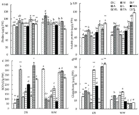 The Effects Of Dse Inoculation Trichoderma Inoculation And Water Download Scientific Diagram