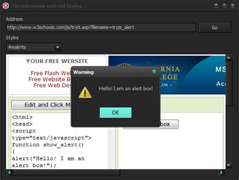 Delphi Vcl Styles And Twebbrowser Source Code Released The Road To