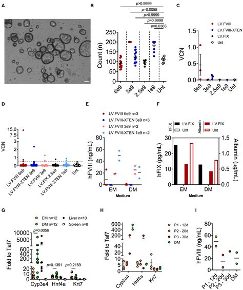 Identification Of Hepatocyte Primed Cholangiocytes In The Homeostatic Liver By In Vivo
