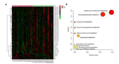 Clustering And Pathway Enrichment Analysis Of Differential Metabolites