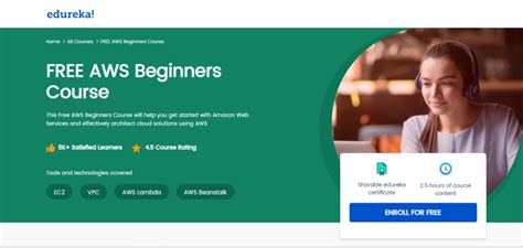 Which Is Better Edureka Or Intellipaat Honest Opinion 2024