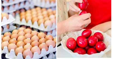 არ შეიძინოთ ასეთი კვერცხი ის დიდი ხნის დადებულია რა უნდა გაითვალისწინოთ კვერცხის შეღებვამდე