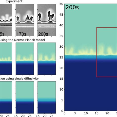 comparing the simulations using the nernst planck model and those using