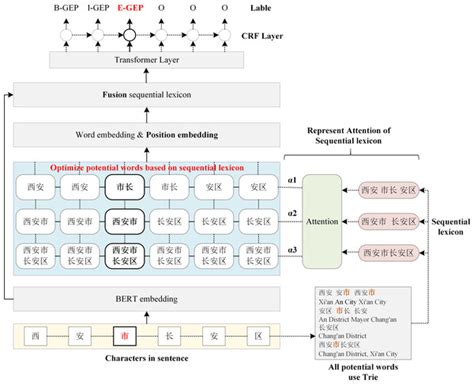 Sequential Lexicon Enhanced Bidirectional Encoder Representations From