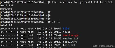 Linux解压报错 Csdn博客