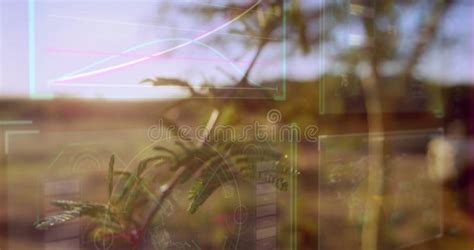 Green Leaves With Digital Data Processing Animation Over Blurred Natural Background Stock Video