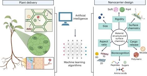 Towards Realizing Nano Enabled Precision Delivery In Plants Lifeboat News The Blog