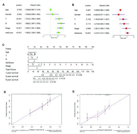 Construction And Evaluation Of The Nomogram Ab Univariate And Download Scientific Diagram