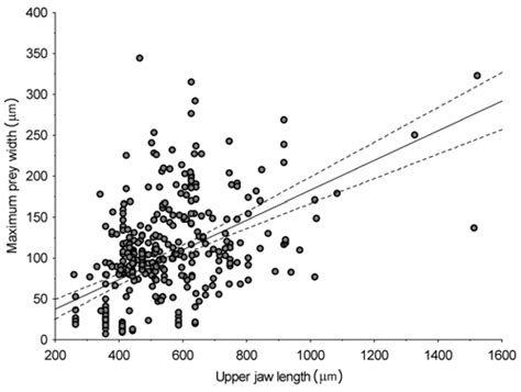 Relationships Between The Gape Size Upper Jaw Length And Prey Size