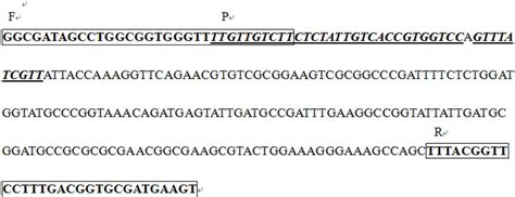 Detection Method Of Food Borne Pathogenic Bacteria Salmonella Eureka Patsnap