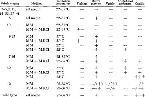 The Phenotypes Of Bristle Mutants Of Aspergillus Nidulans Download Table