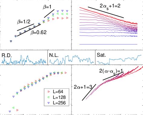 Time Evolution For The Roughness W T L And The Structure Factor Sk