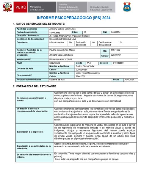 Informe Psicopedagogico Gabriel Pdf Educación De La Primera Infancia