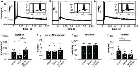 Unimodal Suprathreshold Activation Of Scns Did Not Lead To Significant Download Scientific