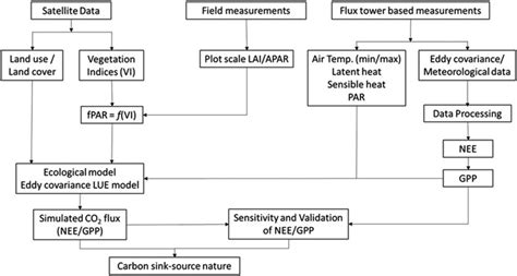 3 Approach For Estimating Carbon Fluxes Using Flux Measurements And