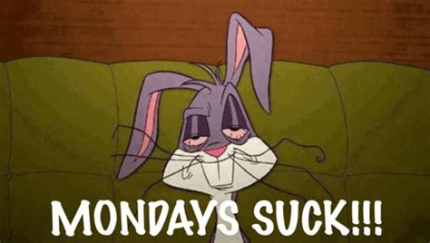 Mondays Suck Meme Mondays Suck Discover And Share S