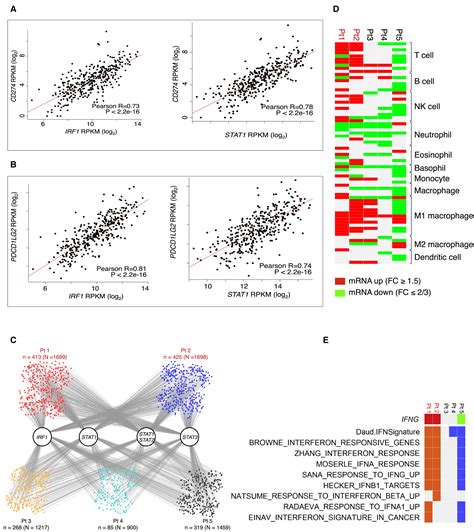 Interferon Receptor Signaling Pathways Regulating Pd L1 And Pd L2 Expression Cell Reports