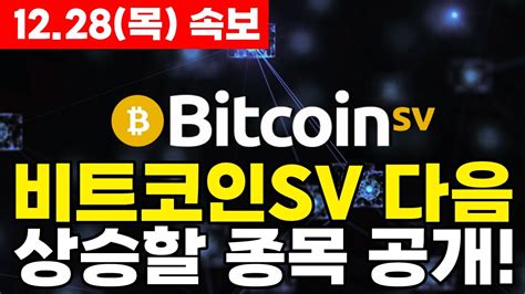 비트코인sv 코인 전망 이제 현물etf 재료 대신 Ooo에 집중 Youtube