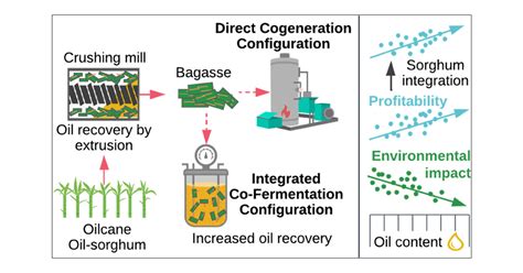 Economic And Environmental Sustainability Of Vegetative Oil Extraction Strategies At Integrated