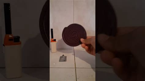 ¡aprende Cómo Usar Raid Raidolitos Para Controlar Plagas En Tu Jardín Insectos Y Moluscos